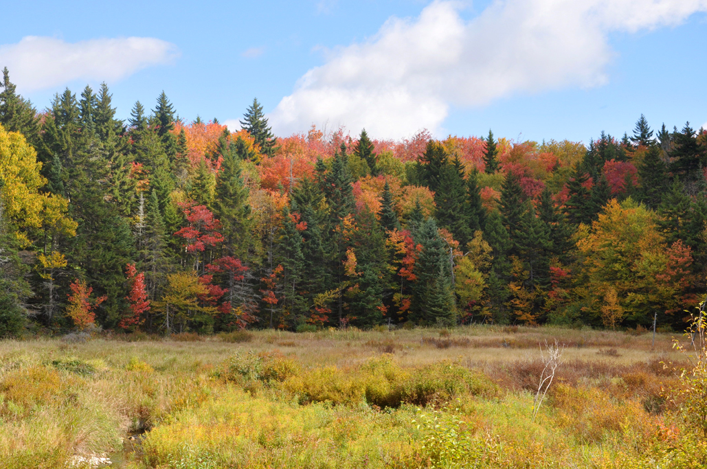 Kelley Stand Road Vermont | Scenic | Stratton Magazine