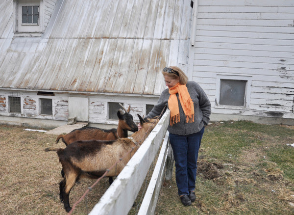Consider Bardwell Farm | Cheese | Stratton Magazine