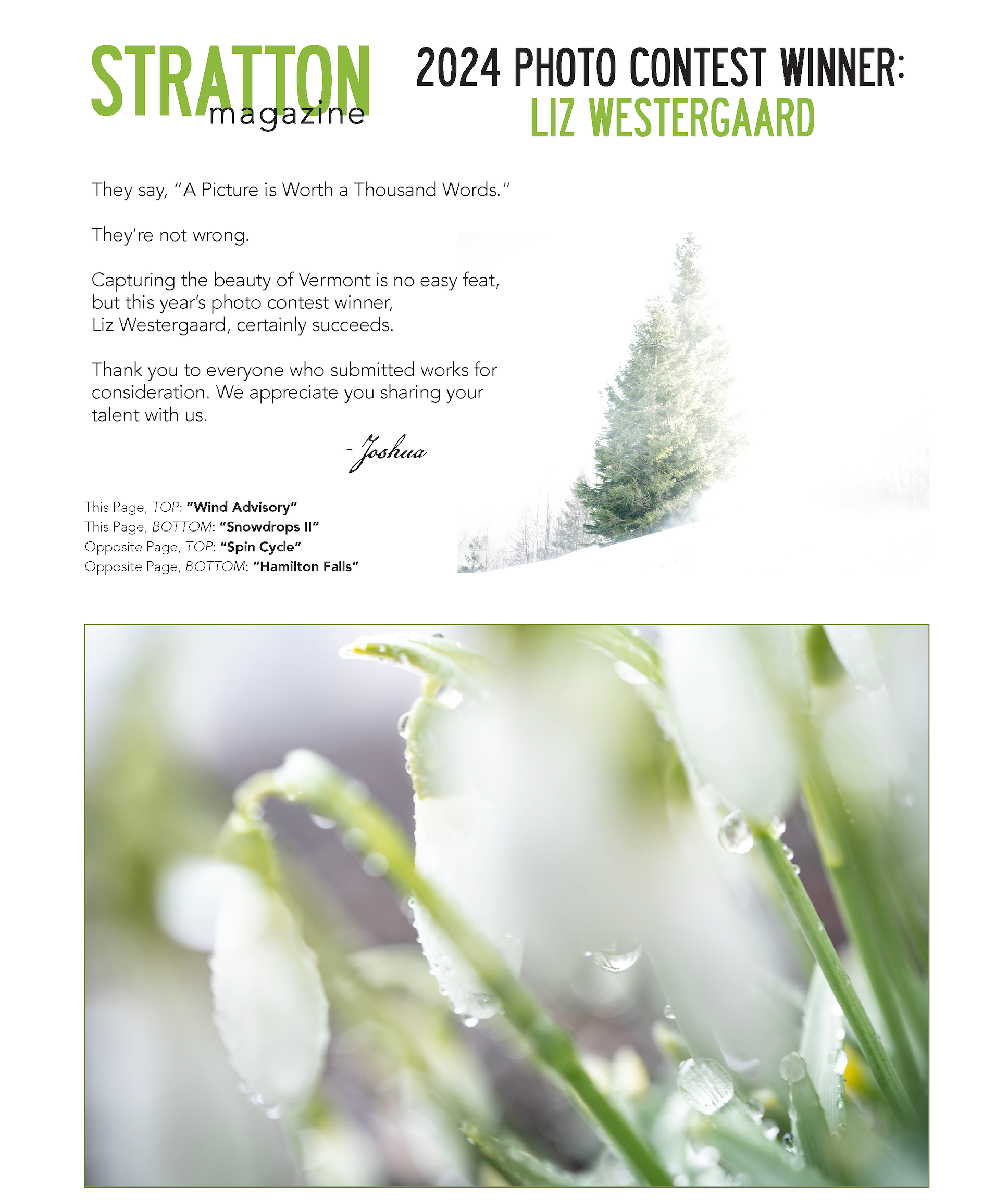 2024 PHOTO CONTEST WINNER - Stratton Magazine - Celebrating Manchester ...